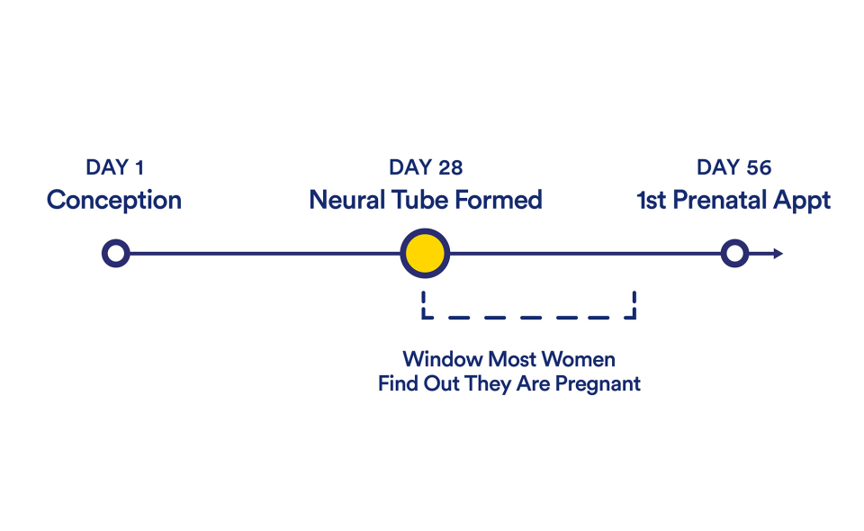 Your Primer to Prenatal Vitamins - Ritual