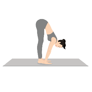 Easy Yoga Poses And Exercises For Beginners