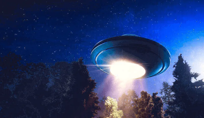 5 Different Types Of Strangest Insurance Policies Ever