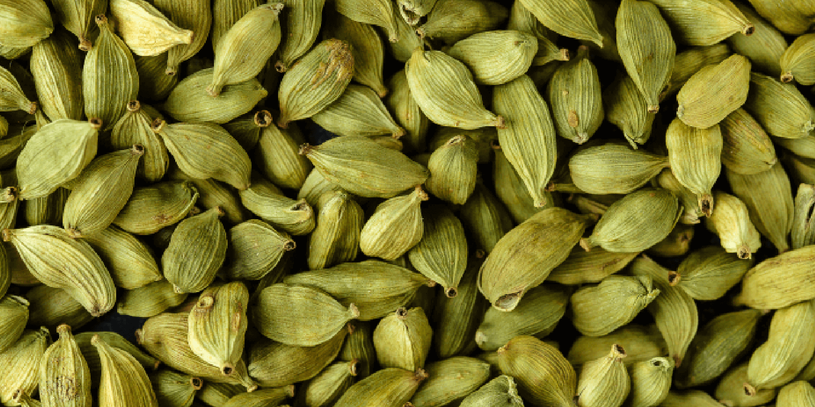 Cardamom : Uses,Benefits & Side effects