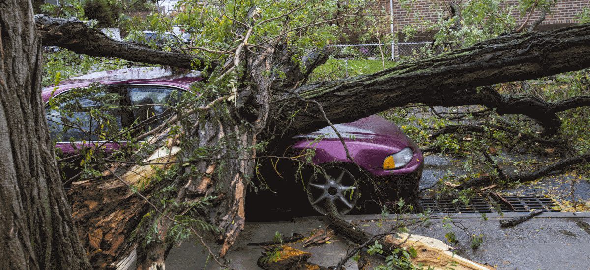 Does Car Insurance Cover a Natural Disaster?