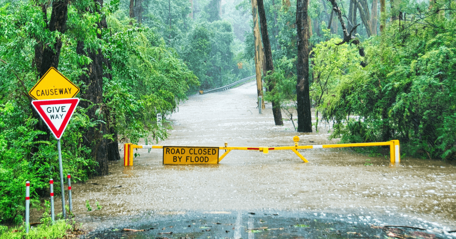Do's and Don'ts During Floods