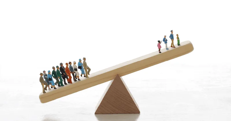 Economics of Ageing and Its Impact on Society