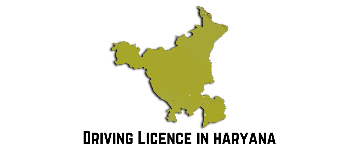 Driving Licence In Haryana How To Apply Online Offline