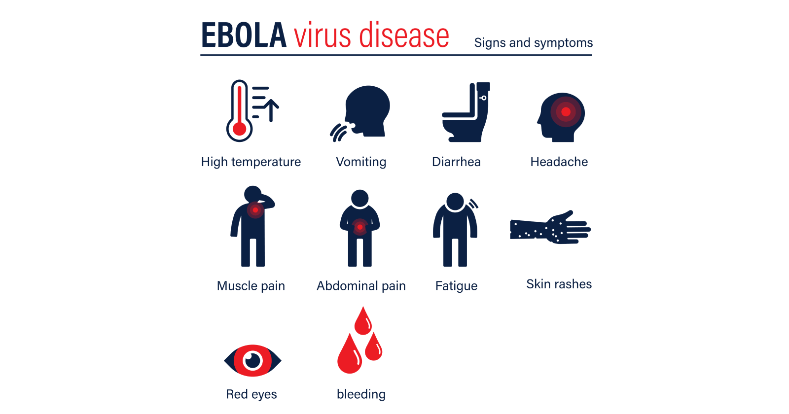Ebola Virus: Symptoms, Causes, Prevention and Treatments