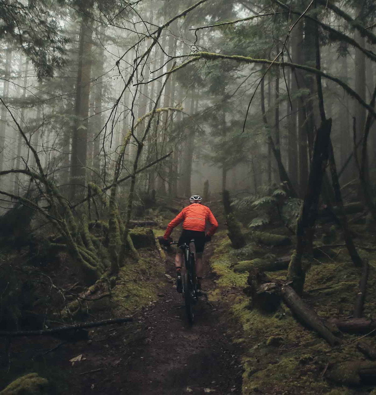 Worlds Fastest Road, Aero, Gravel, and Triathlon Bikes | Factor Bikes