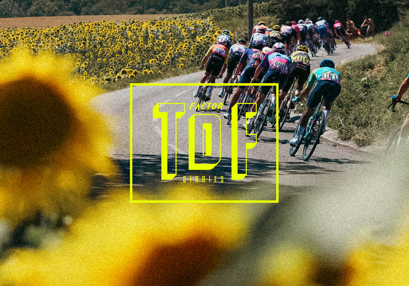 Worlds Fastest Road, Aero, Gravel, and Triathlon Bikes | Factor Bikes