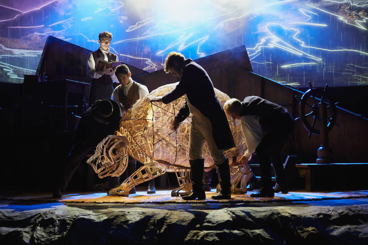 The Wider Earth | Dead Puppet Society