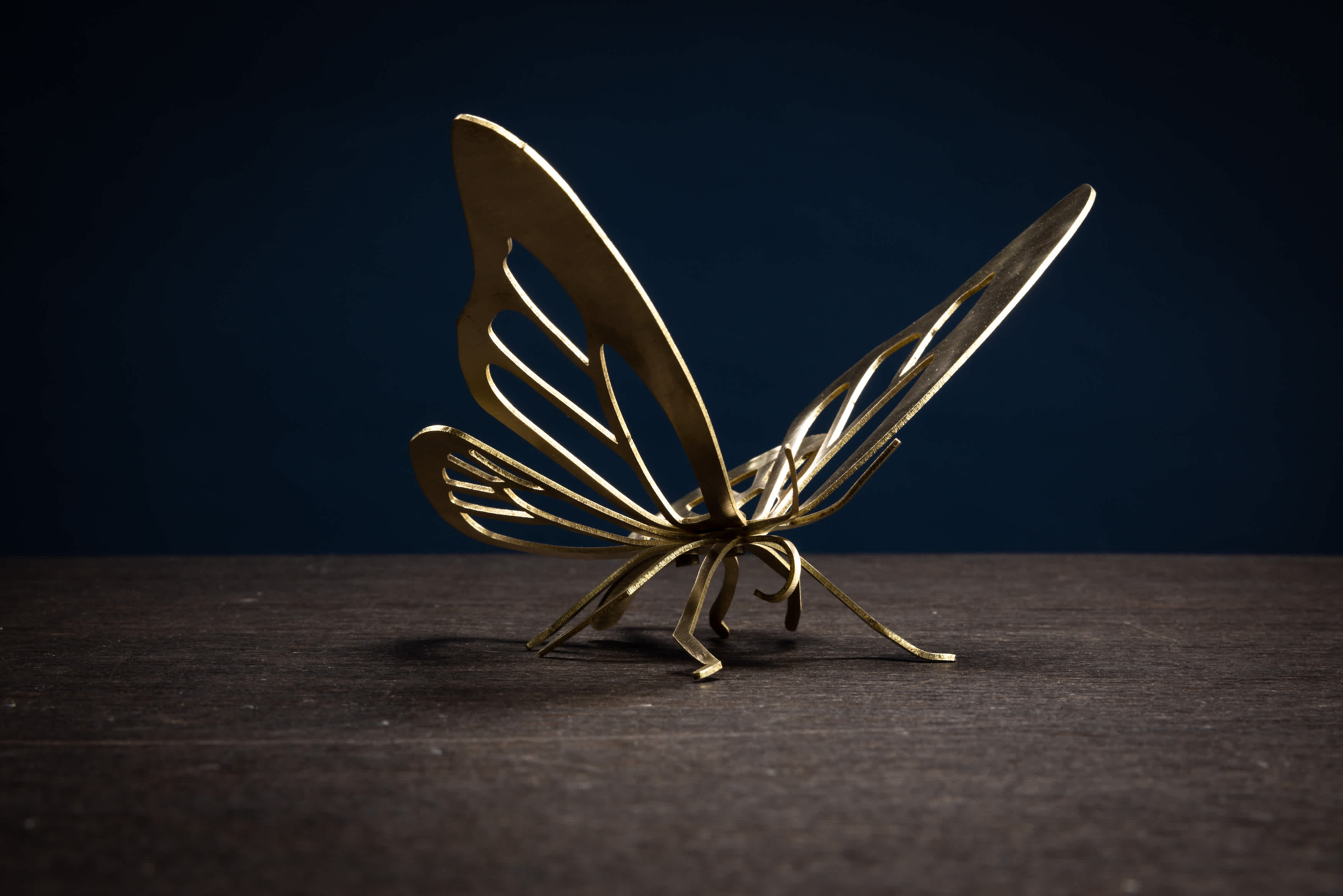 Blue Morpho Butterflies | Dead Puppet Society