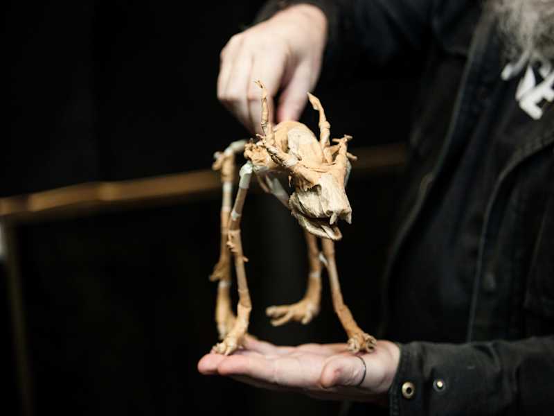 Education | Dead Puppet Society