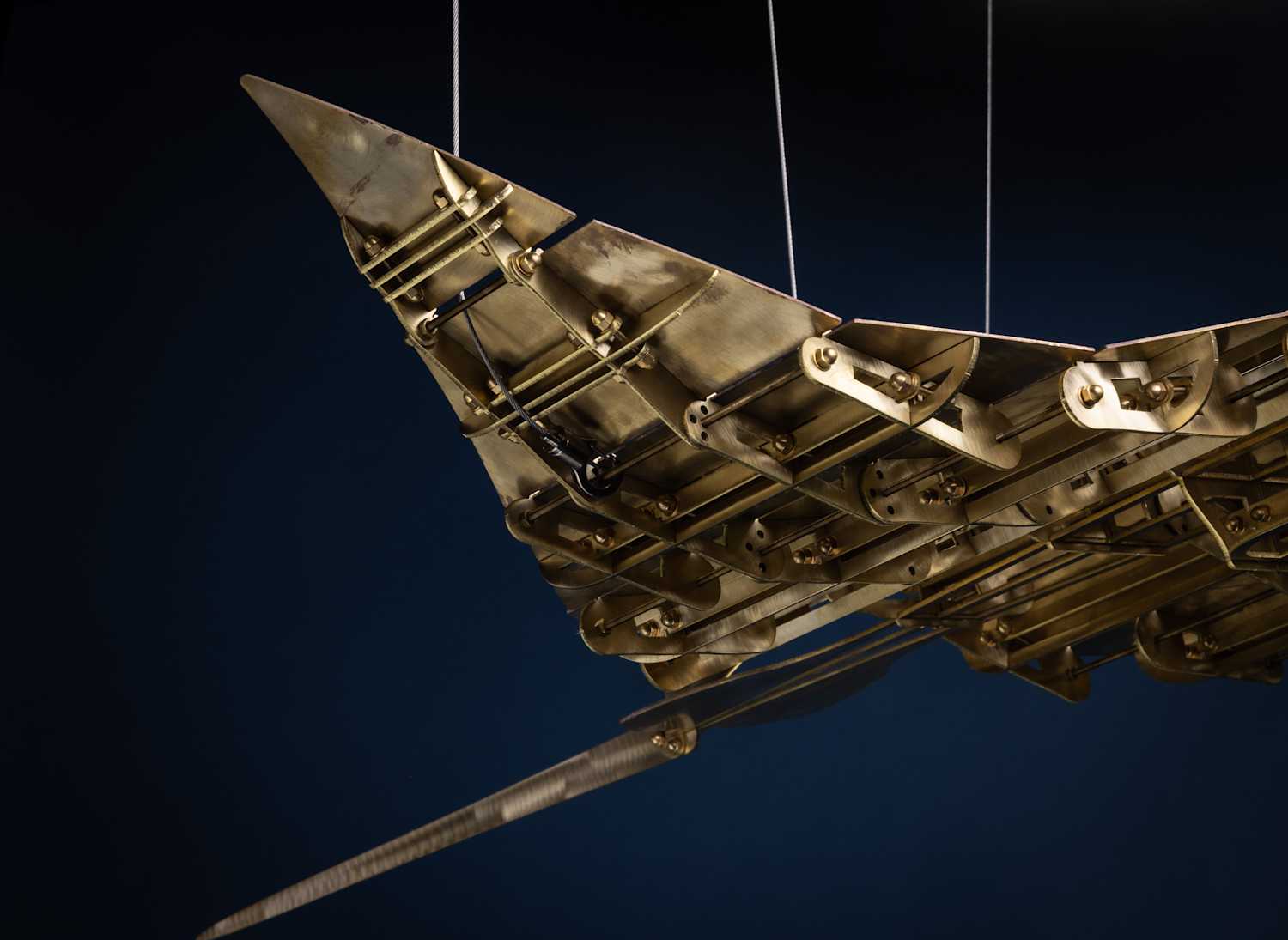 Ornate Eagle Ray | Dead Puppet Society