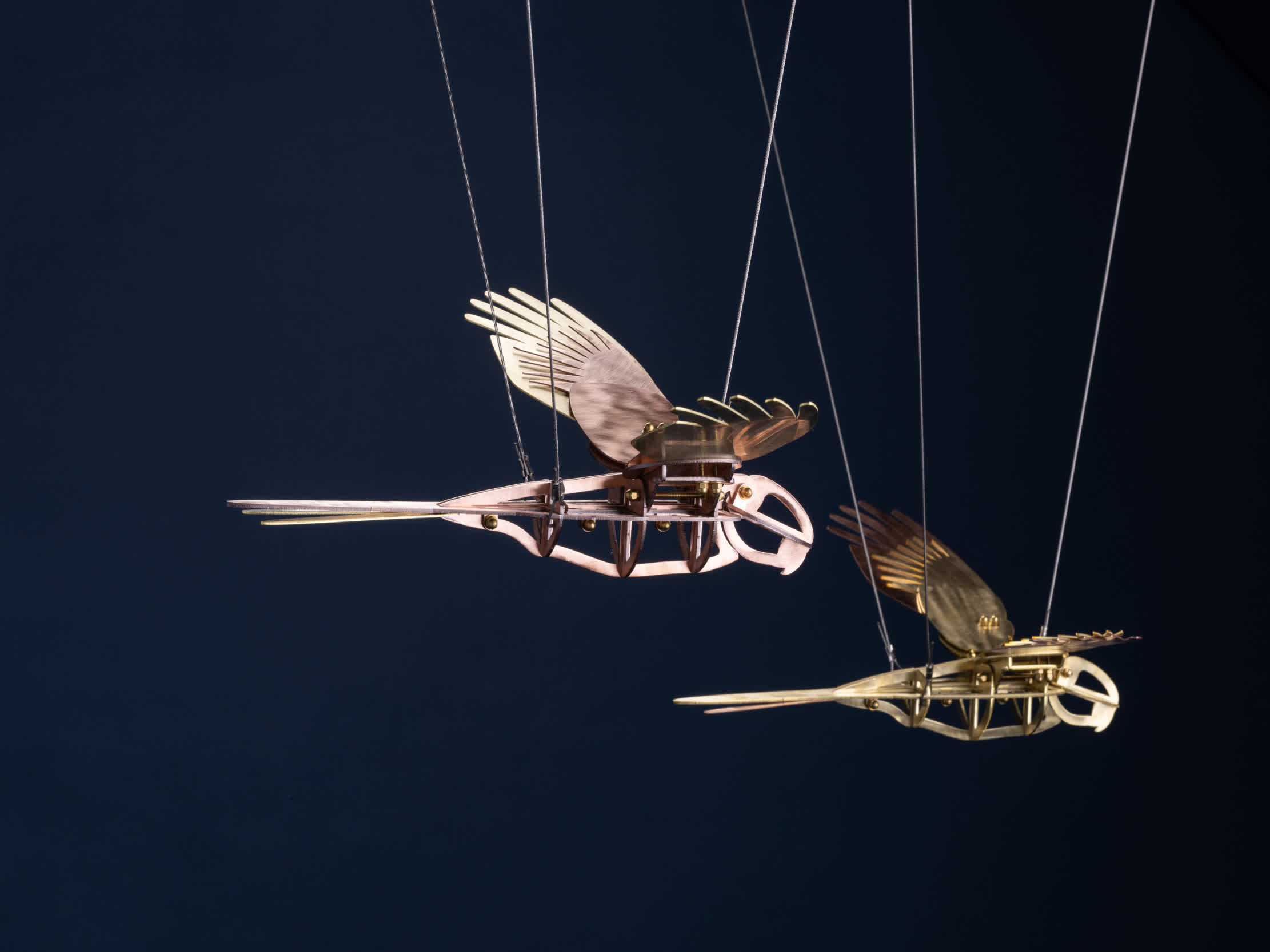 Collection | Dead Puppet Society