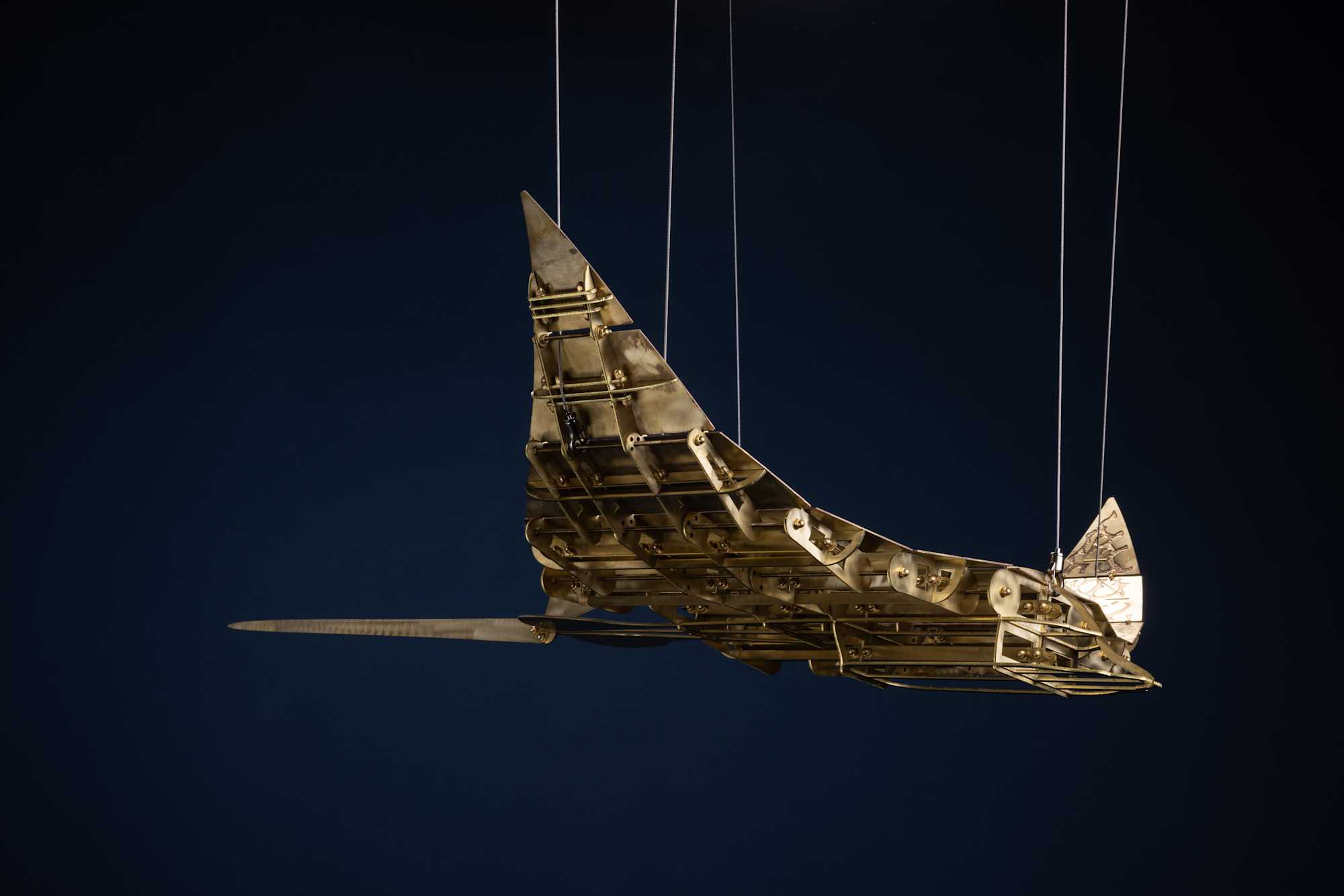 Ornate Eagle Ray | Dead Puppet Society