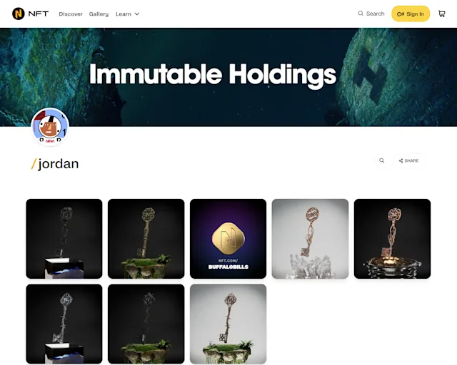 What are NFT Profiles? - Explained - NFT.com