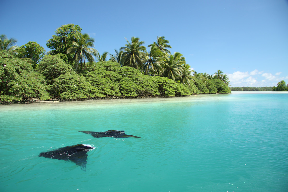 Protect Pacific Islands Heritage from Industrial Fishing