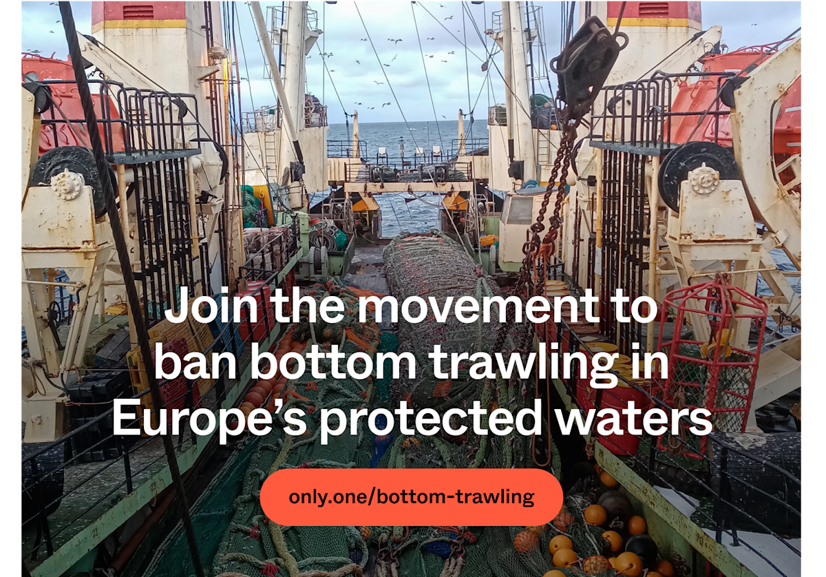 Share the appeal to ban bottom trawling in EU protected waters