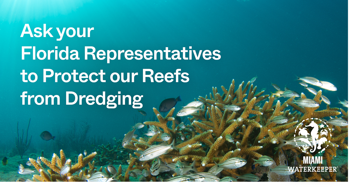 Ask your Florida Representatives to Protect our Reefs from Dredging