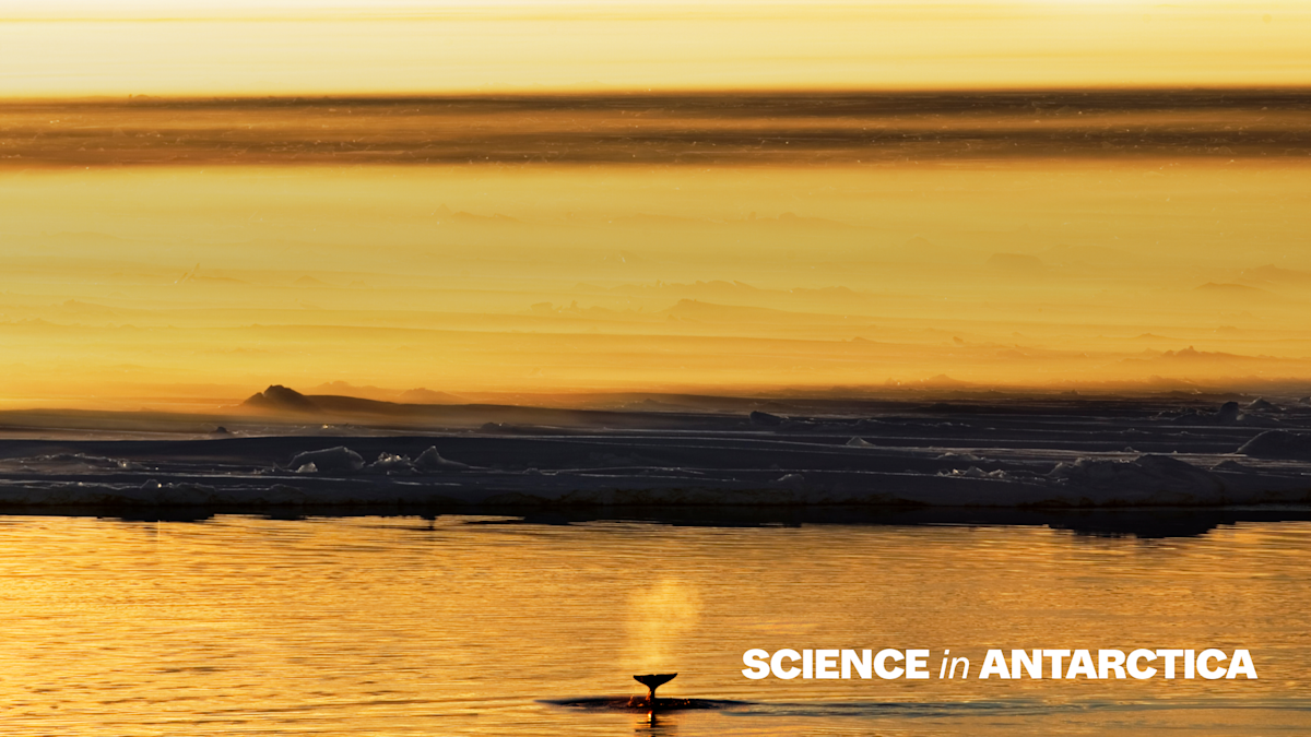 Science in Antarctica: Only One’s new film series premiere