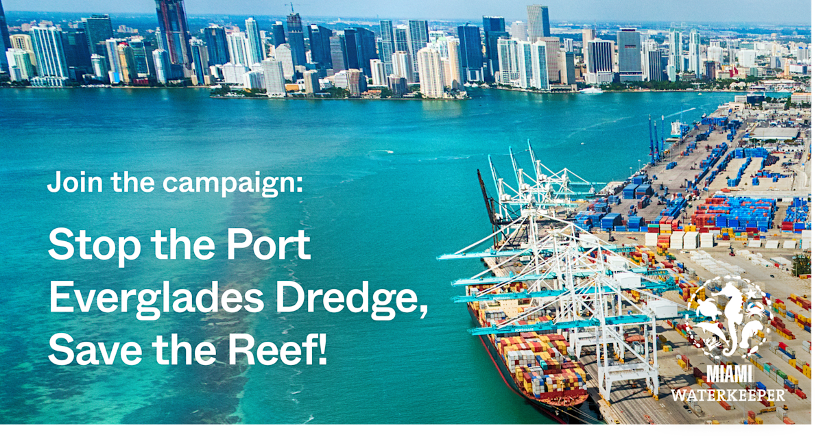 Stop the Port Everglades Dredge, Save the Reef