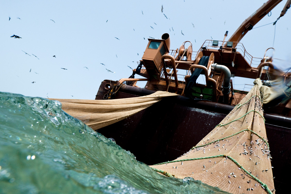Only One launches new campaign to stop bottom trawling in EU protected waters