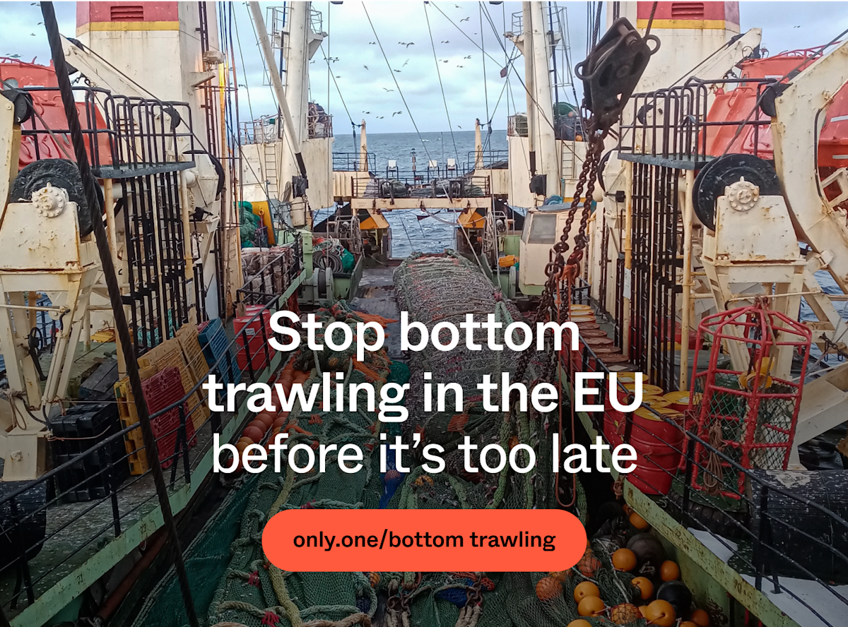 Share the appeal to ban bottom trawling in the EU