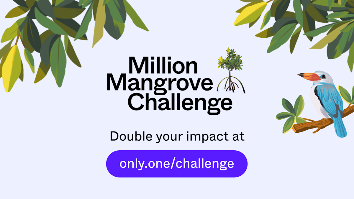 Million Mangrove Challenge