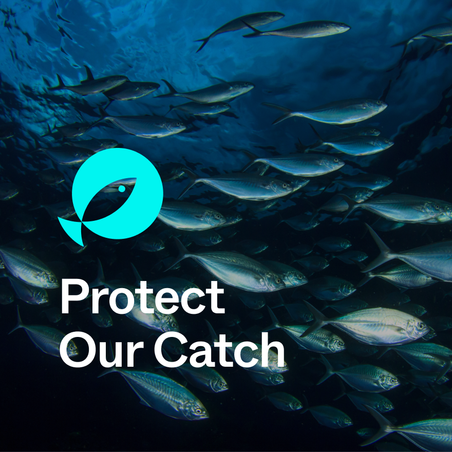 Protect Our Catch