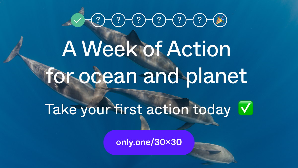 Week of Action
