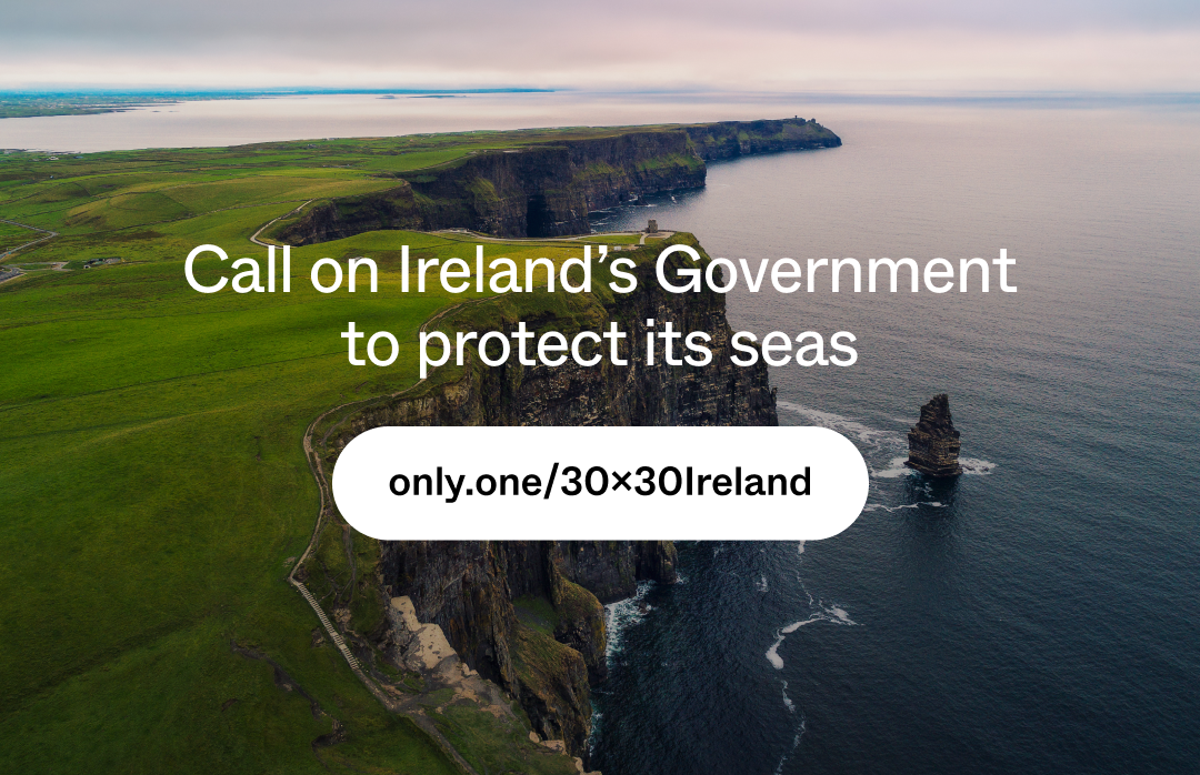 Call on Ireland's Government to protect its seas