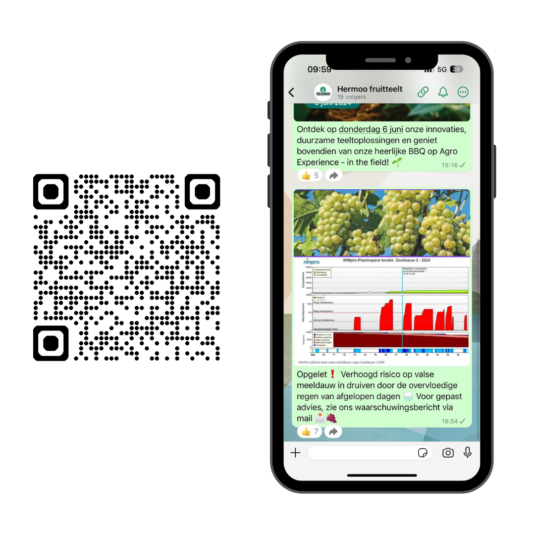 Hermoo | Stappenplan voor het volgen van ons Whatsapp kanaal!