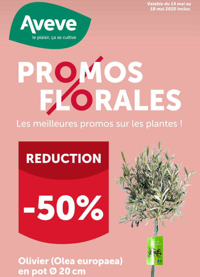 Folder promotionnel - Aveve