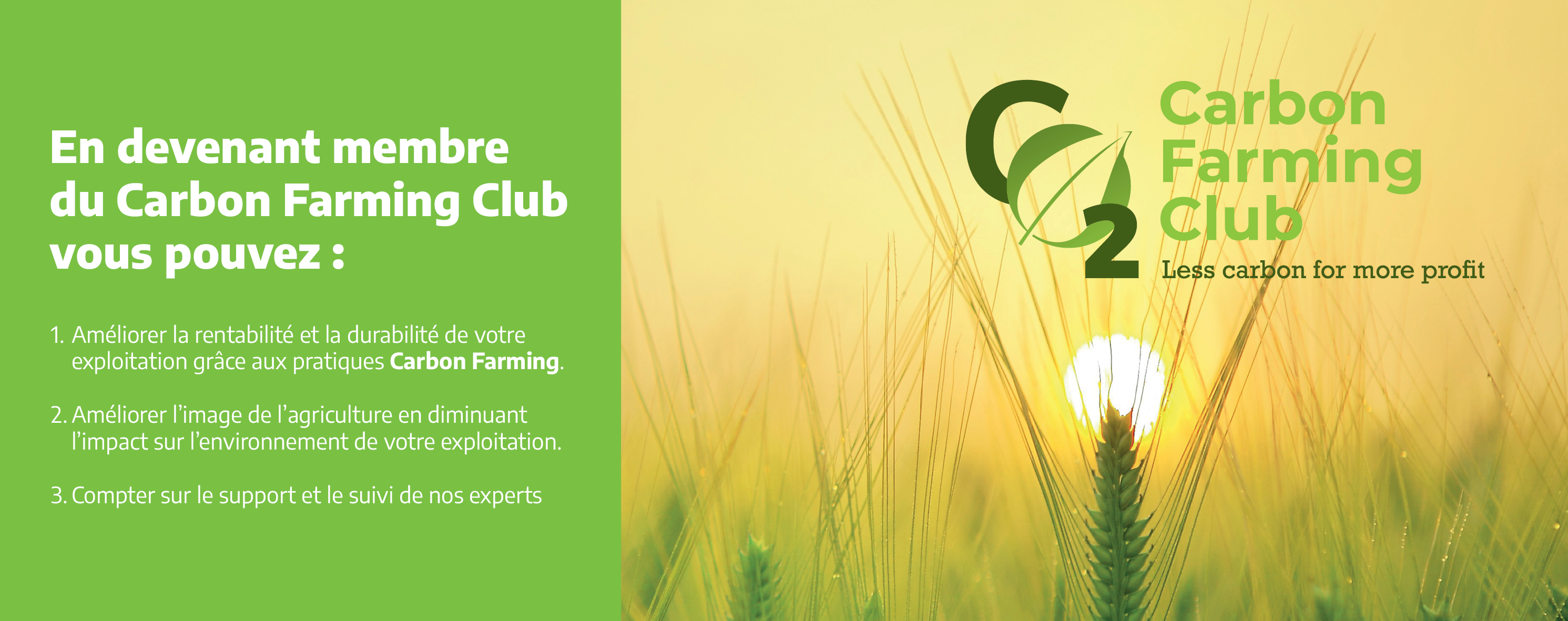 Walagri | CFC Lead gen LP 01/24