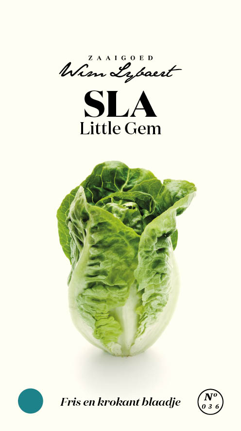 Wim Lybaert | Sla Little Gem