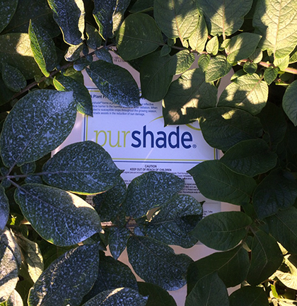 Alliance | Advies in gewasbescherming, bemesting en teelt | Purshade