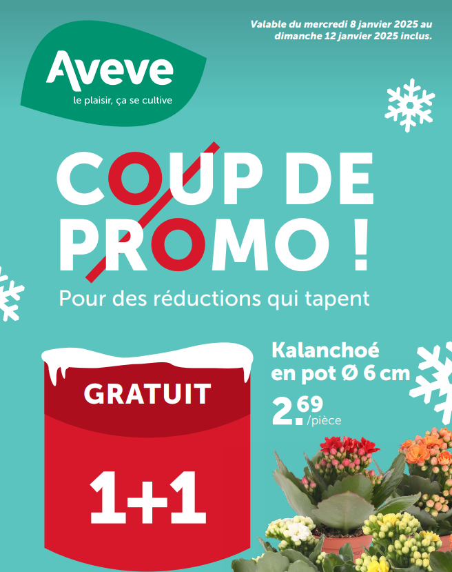Folder promotionnel - Aveve