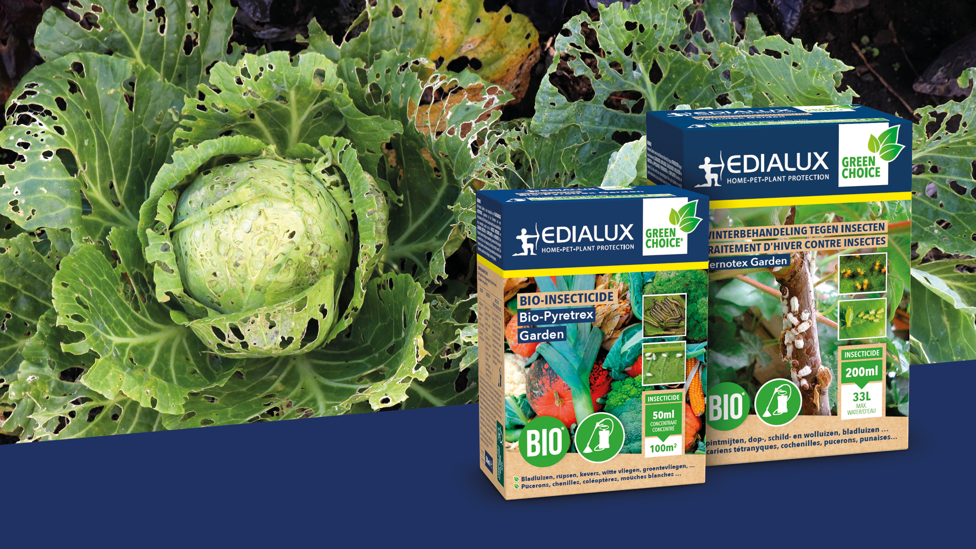 Insecticiden | Bestel Insecticiden bij Aveve