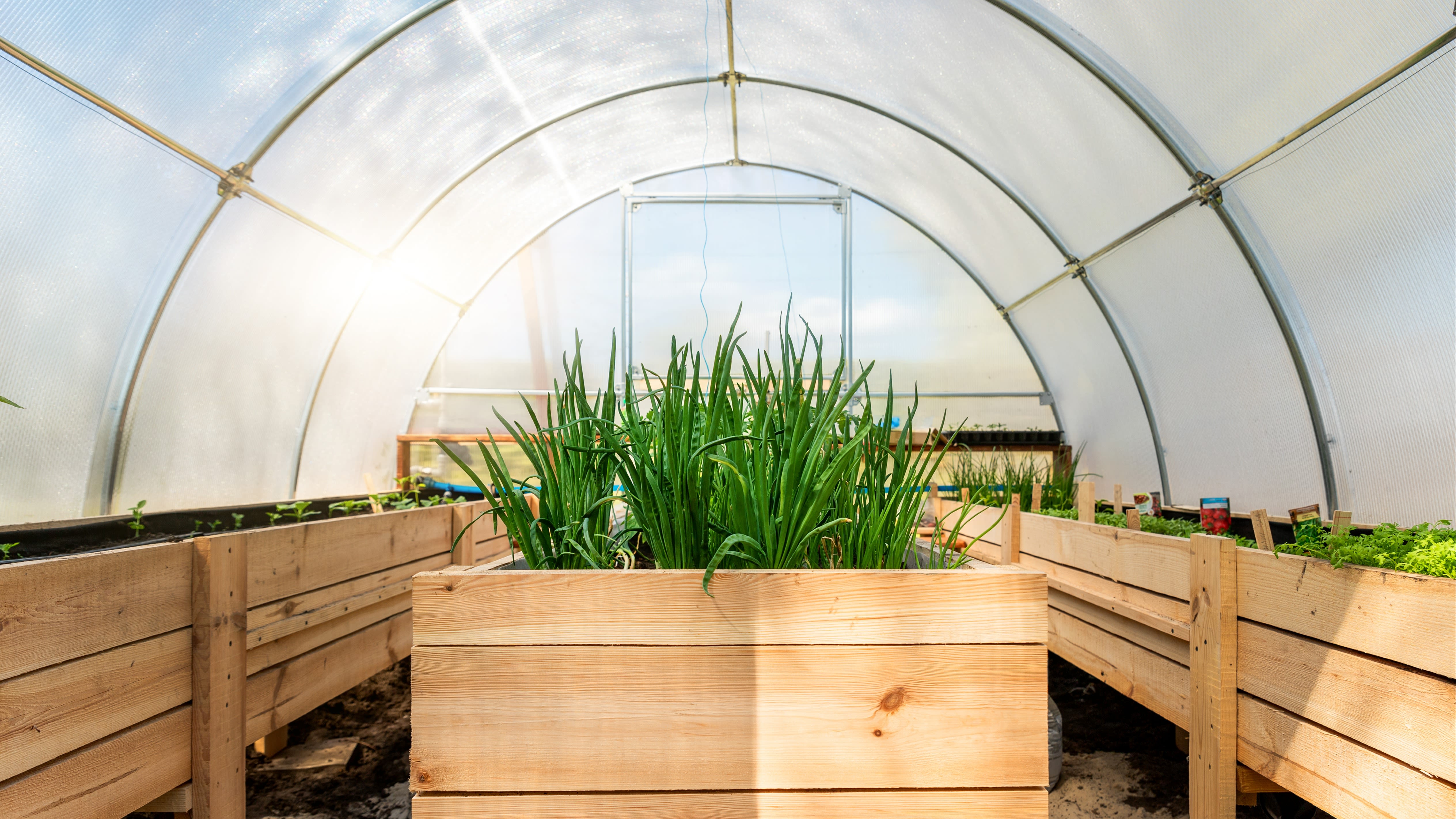 Je serre inrichten van A tot Z: alles wat je weten wil - Aveve