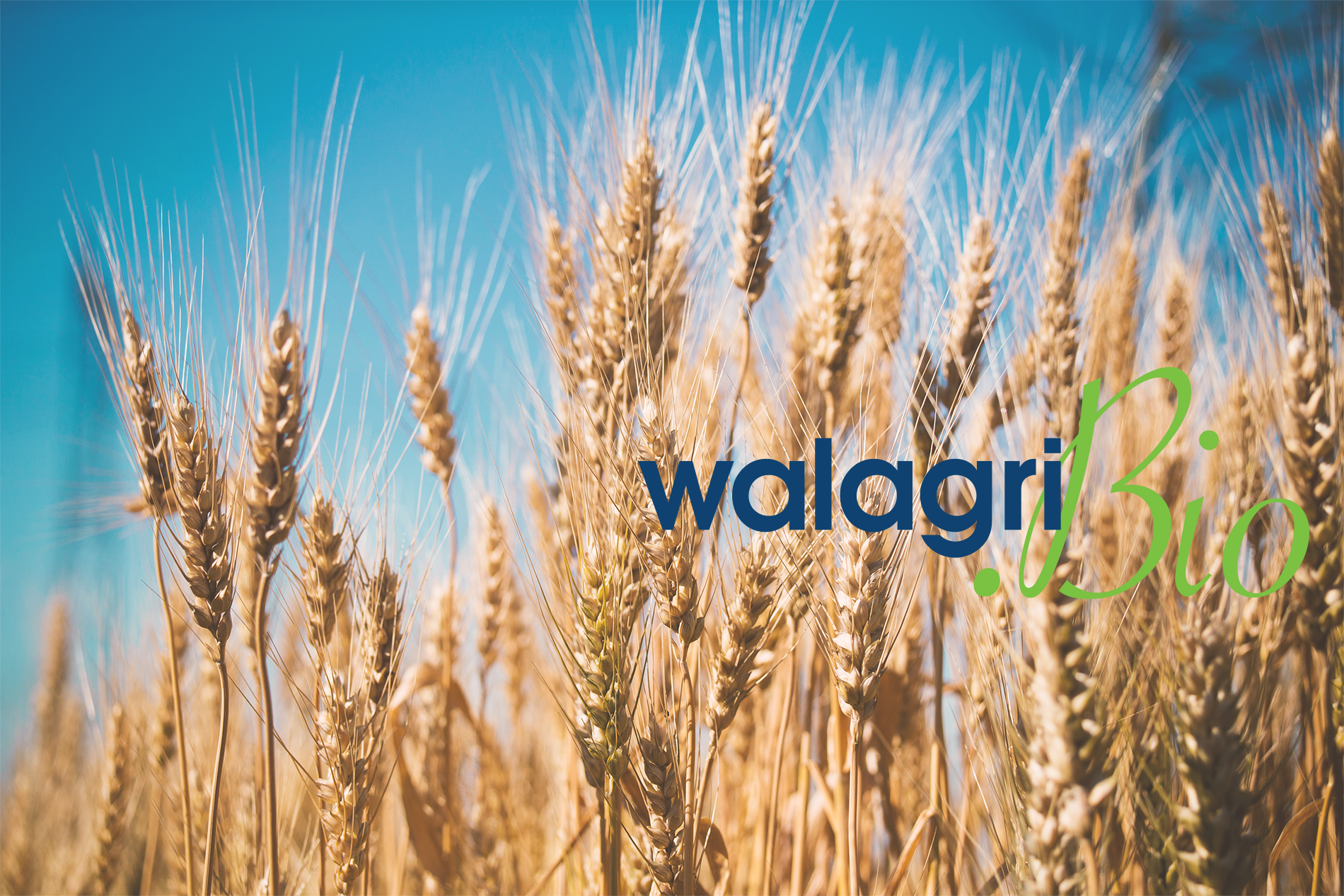 Walagri | Walagri.bio