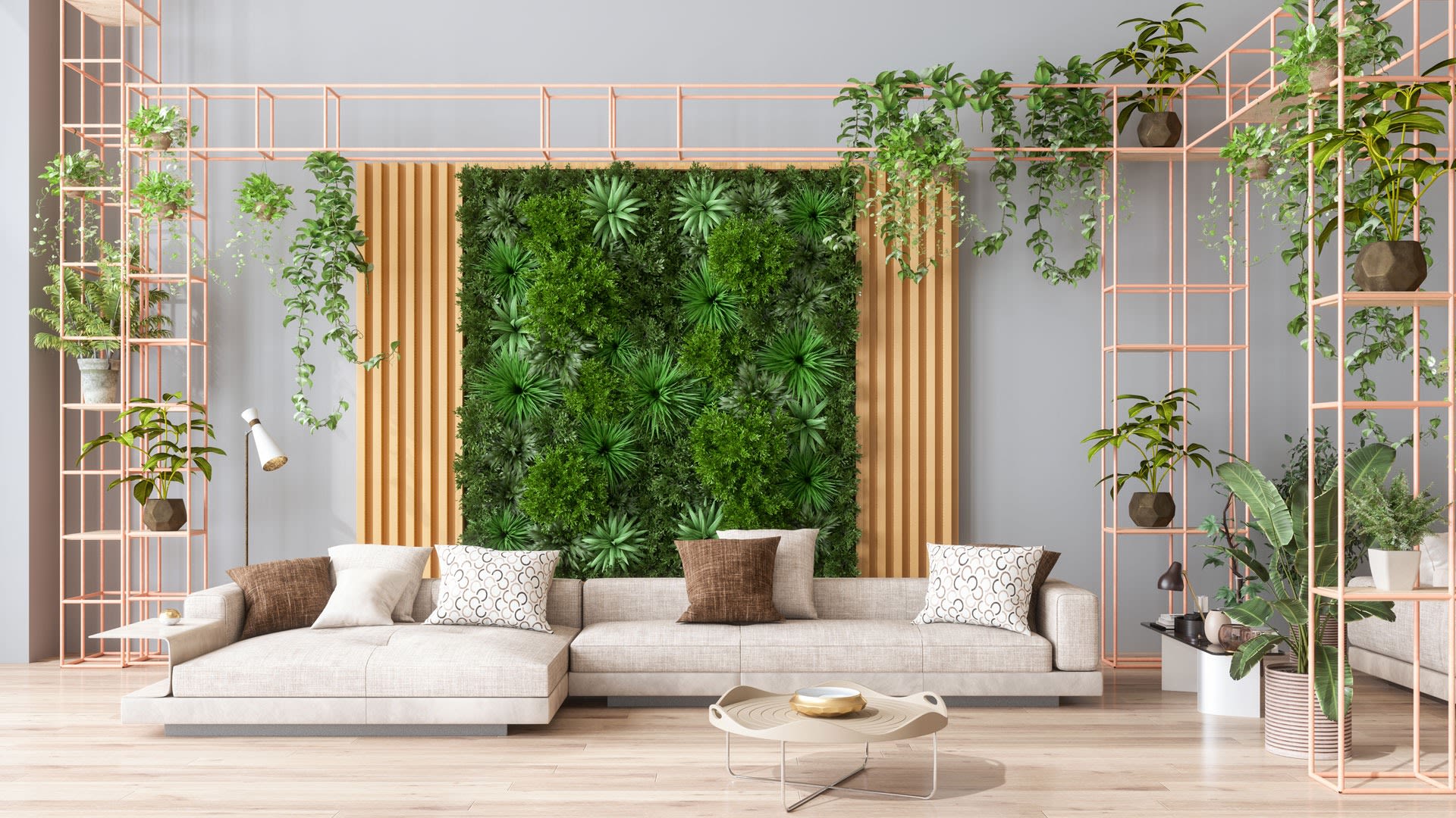 Planten in de woonkamer en eetkamer: dit moet je weten - Aveve