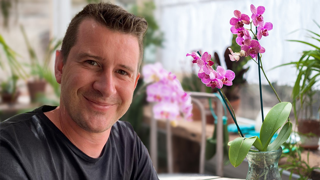 Je orchidee verzorgen, zo doe je dat