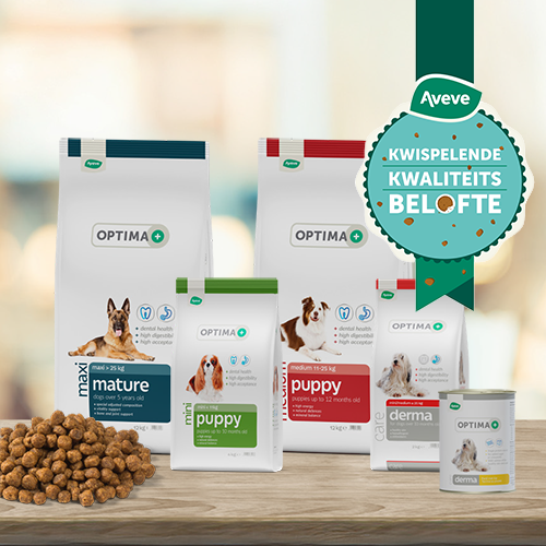 Ontdek ons assortiment hondeneten, snacks en supplementen