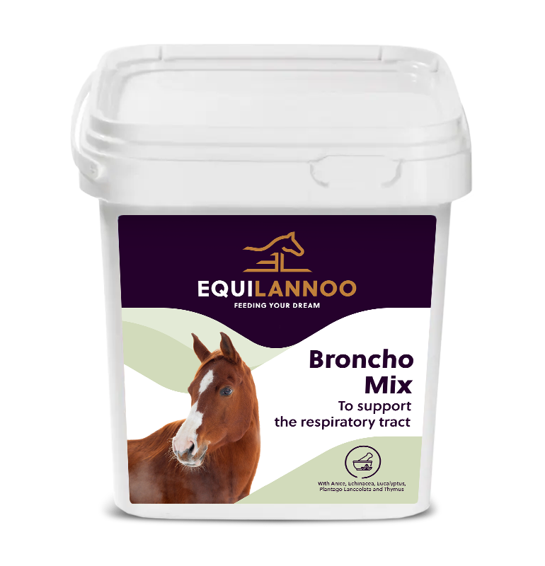 Equilannoo | Broncho Mix