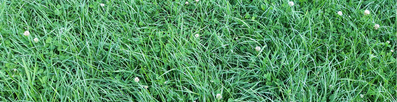 Aveve Agrarisch | Grasland