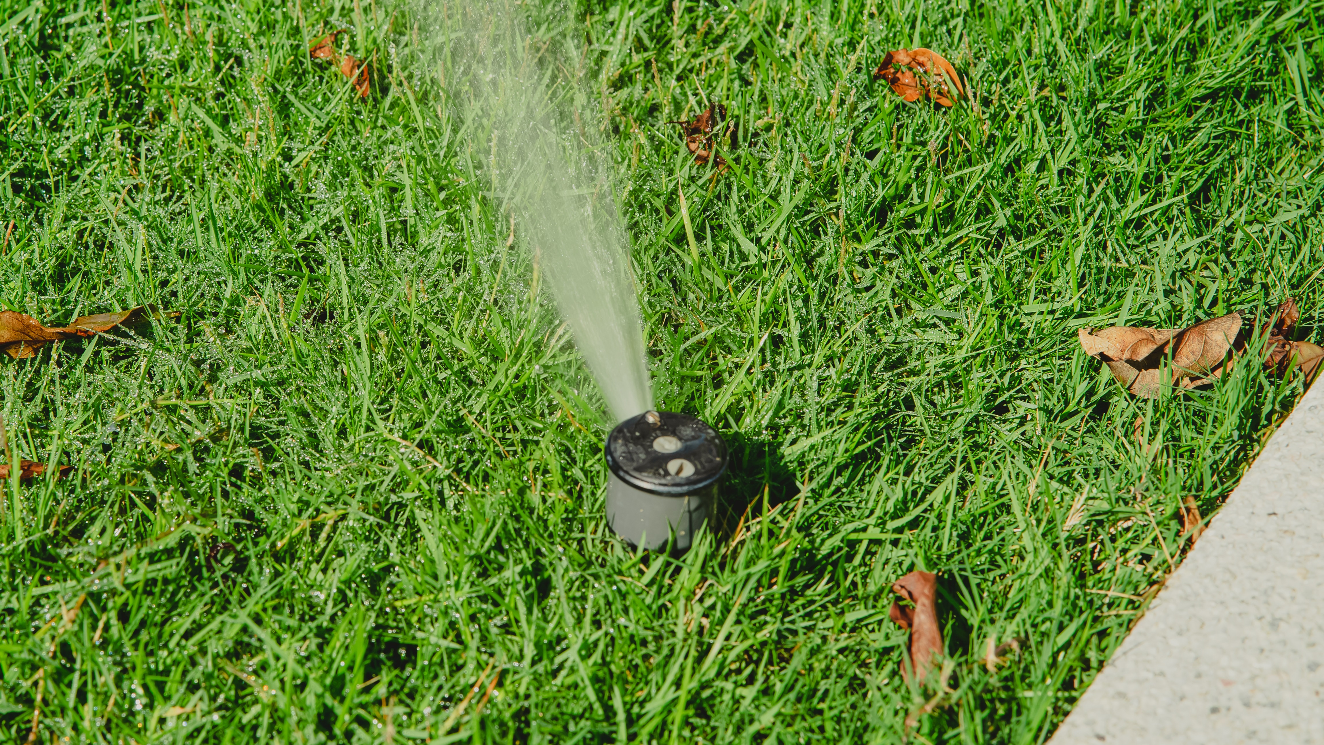 Bewatering | Bestel bewatering bij Aveve