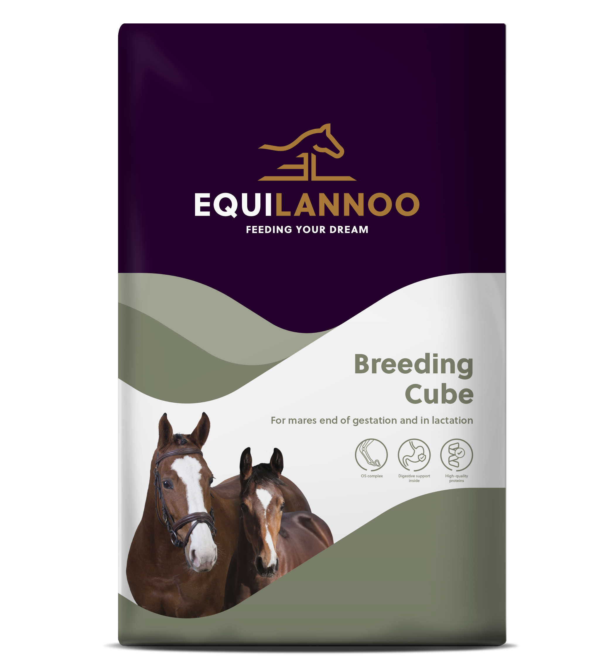 Equilannoo | Breeding Cube