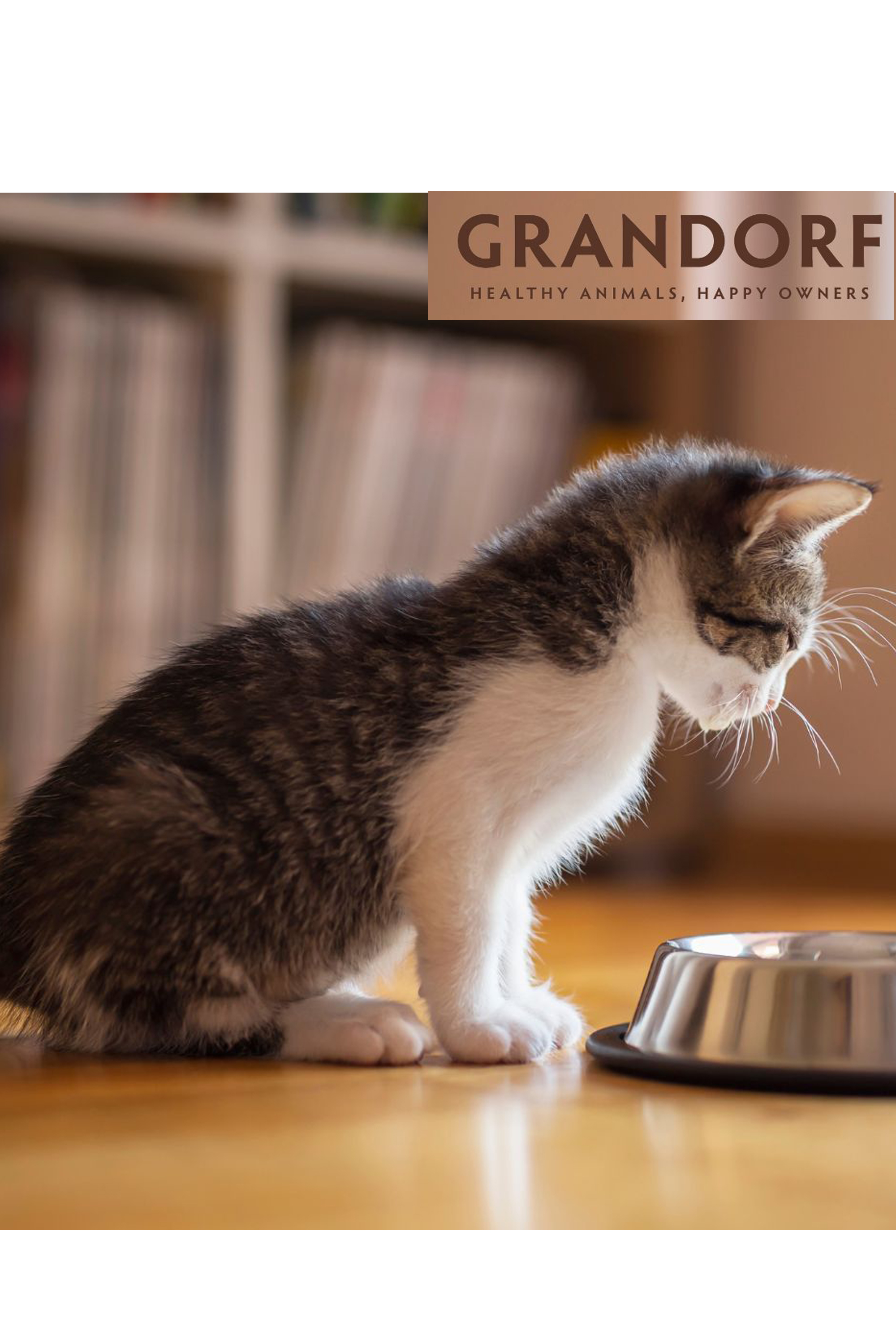 Droogvoer katten | Bestel droogvoer katten bij Aveve