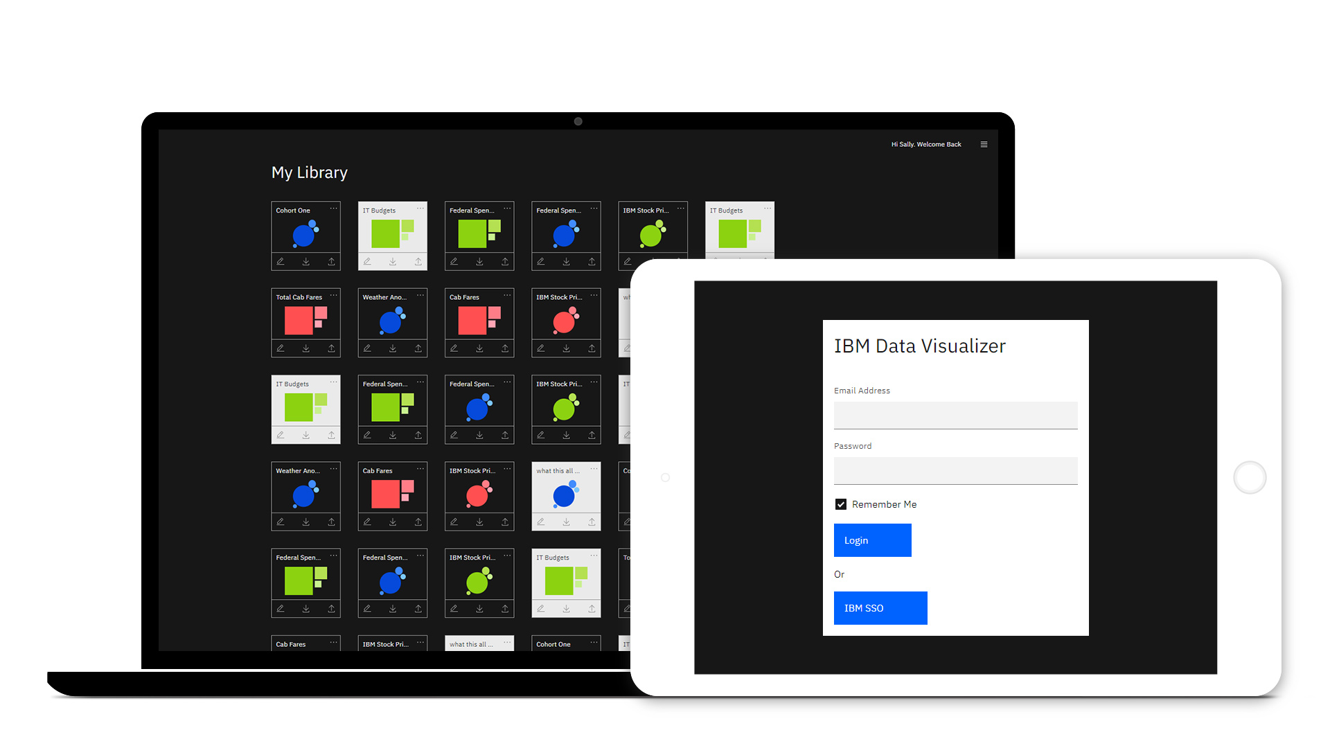 IBM - Data Visualizer // Reconstrukt