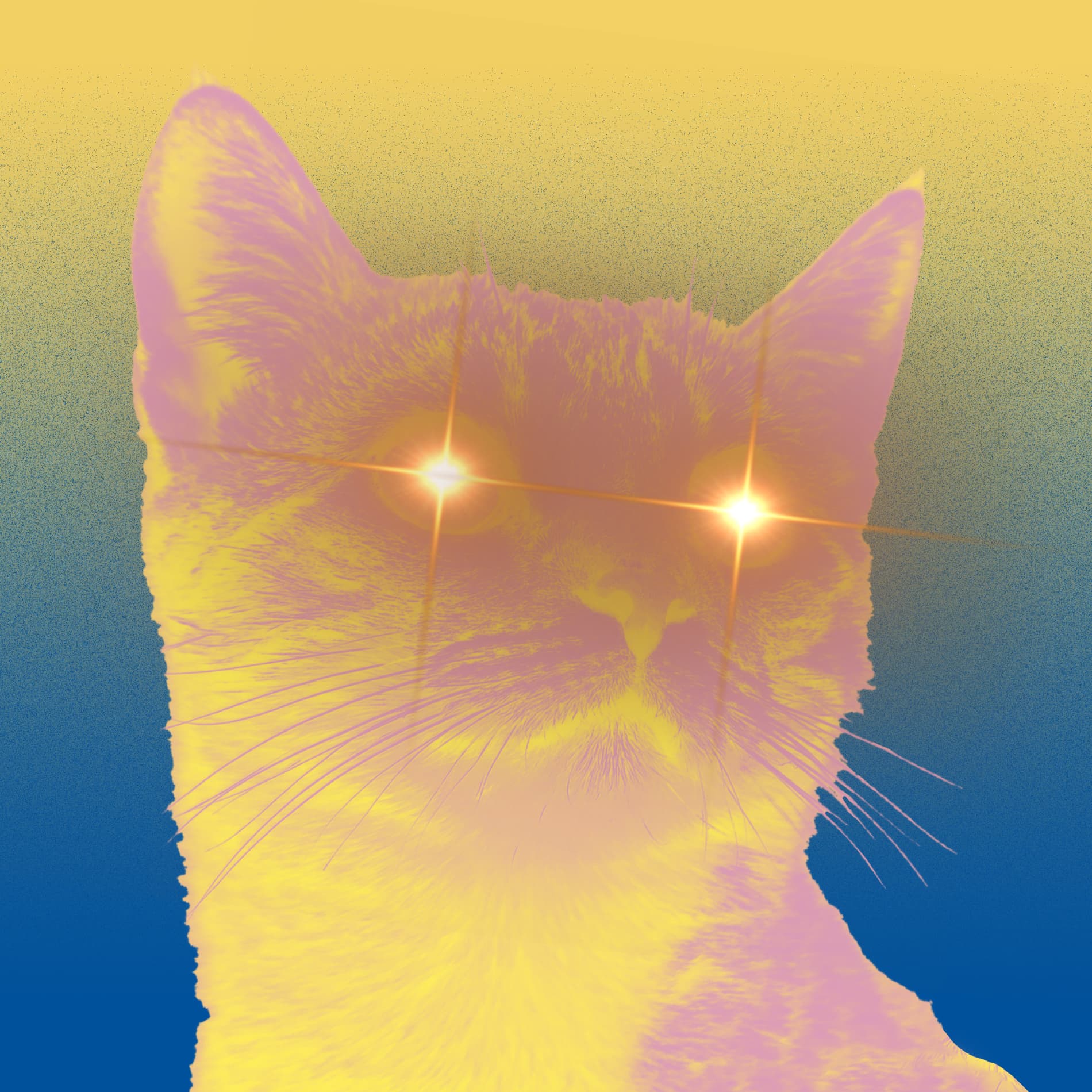 What’s Up With All Those Crypto Laser-Eyes Profile Pics? A Definitive ...