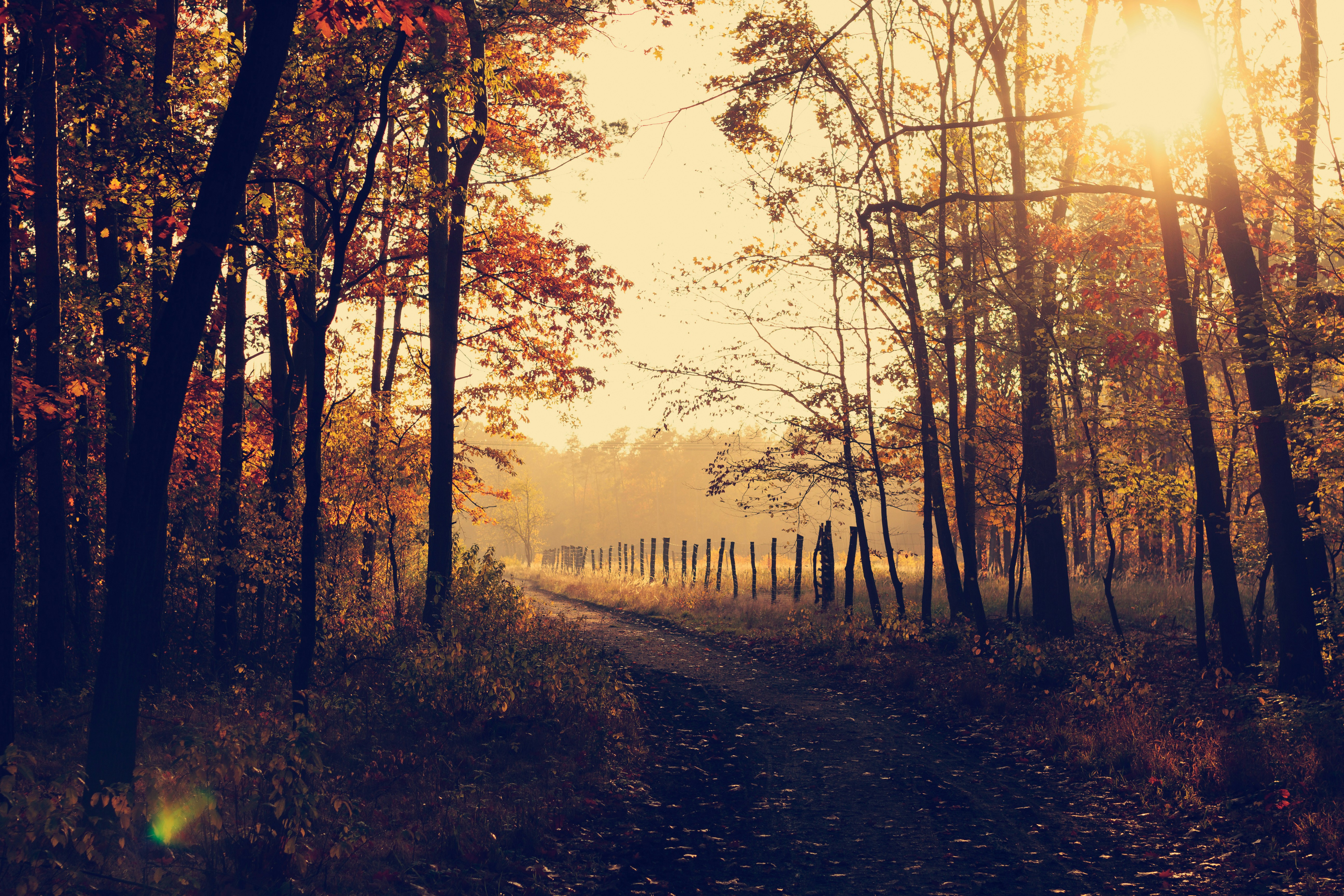 13 autumn safety tips to keep you and your family safe | SimpliSafe ...