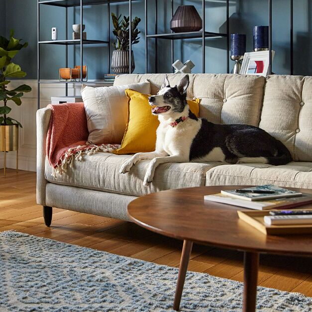 14 home security tips for dog owners | SimpliSafe Home Security Blog